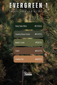 The Evergreen 1 Collection - flannel + firewood