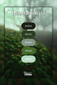 The Enchanted Forest Collection - flannel + firewood