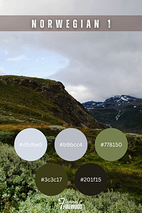 The Norwegian Collection - flannel + firewood