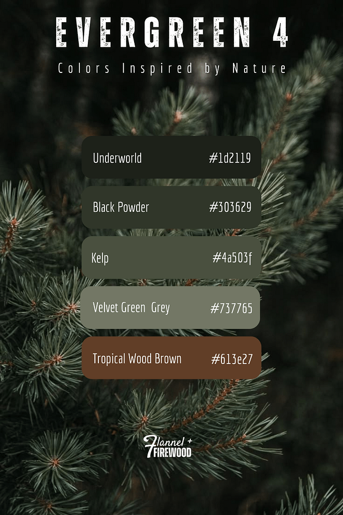 The Evergreen 1 Collection - flannel + firewood