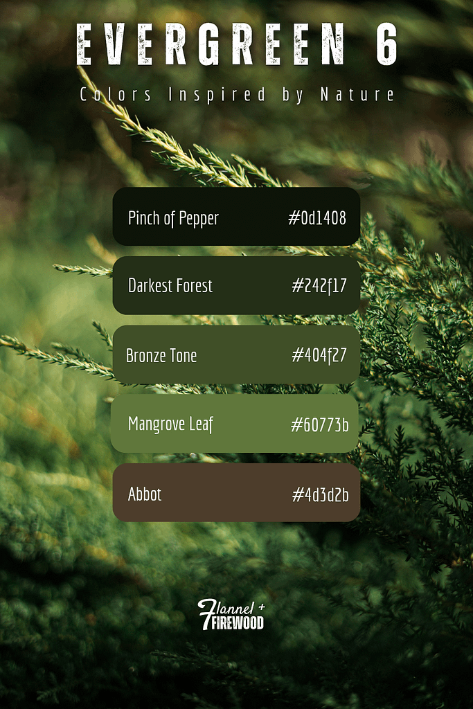 The Evergreen 3 Collection - flannel + firewood
