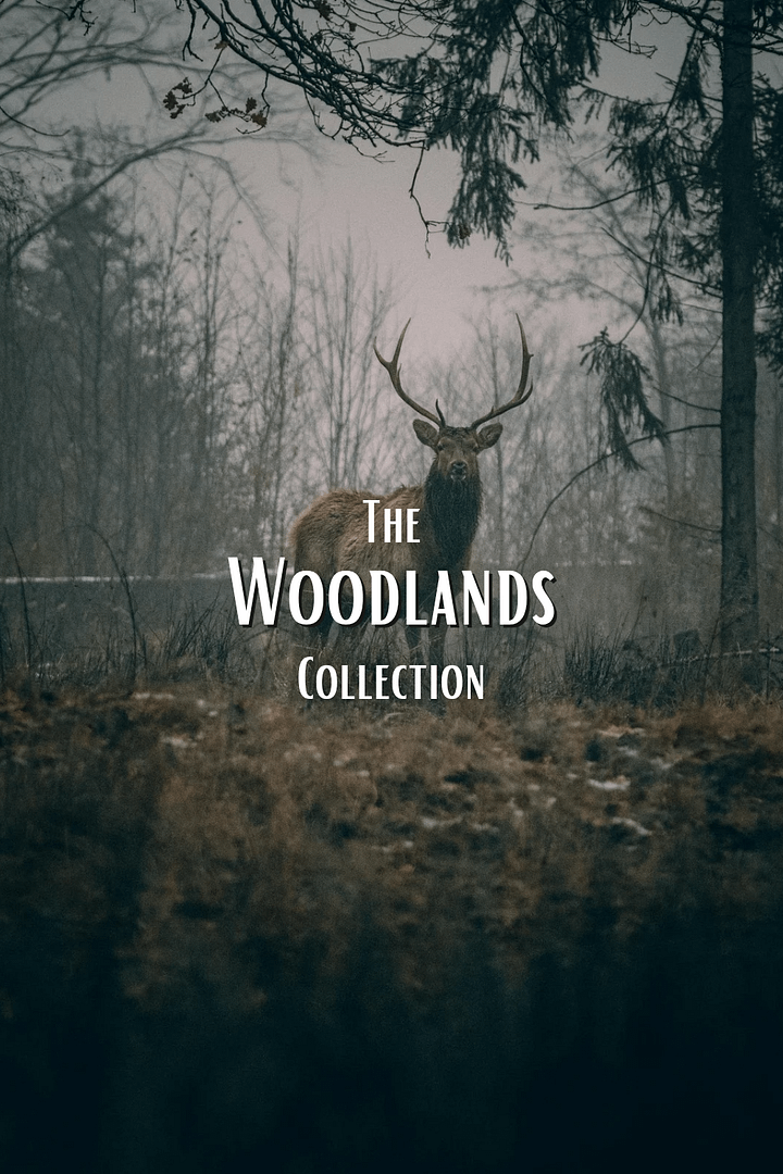 Color Palettes - flannel + firewood