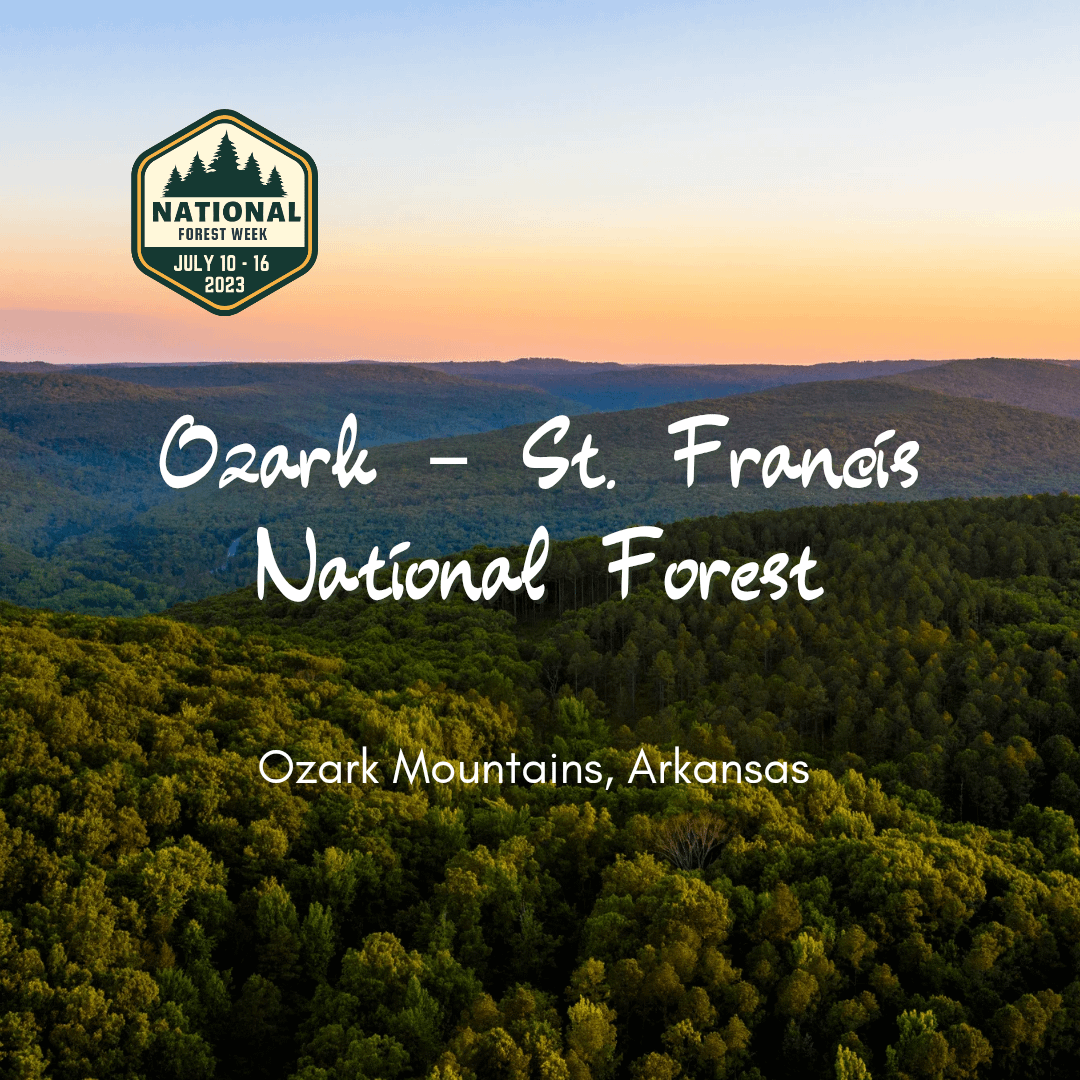 Ozark - St. Francis National Forest - flannel + firewood